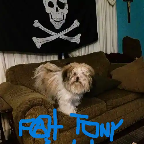 Punk Track | One Door Closes And Another Opens by Fat Tony Pistol ...